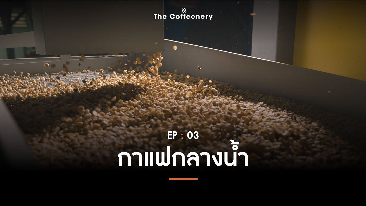 The Coffeenery "กาแฟกลางน้ำ" - The Coffeenery