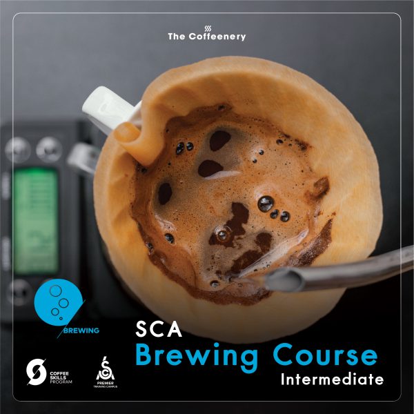 หลักสูตรของ SCA Archives - The Coffeenery