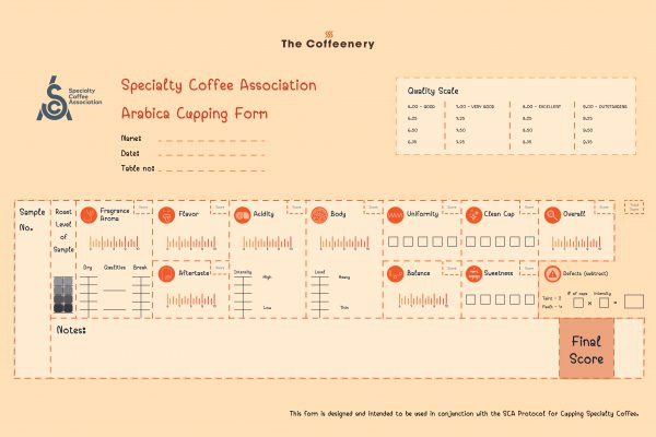 Cupping protocol sca - The Coffeenery