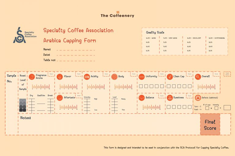 Cupping protocol sca - The Coffeenery coffee knowledge