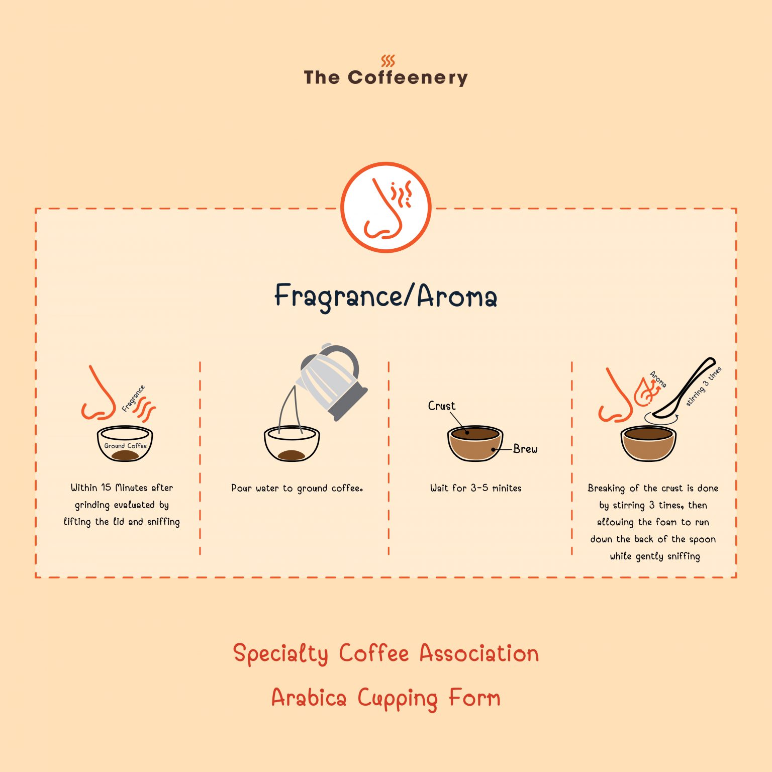Cupping protocol sca - The Coffeenery coffee knowledge
