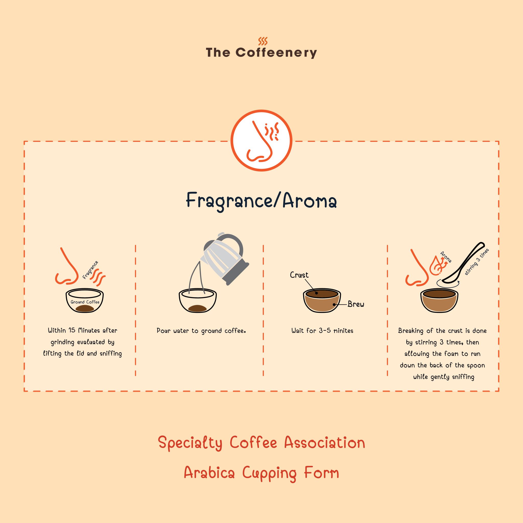 Cupping protocol sca - The Coffeenery