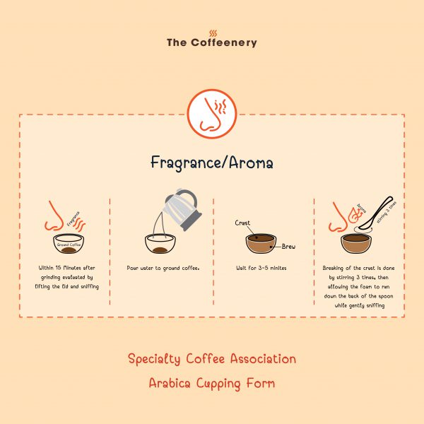 Cupping protocol sca - The Coffeenery coffee knowledge