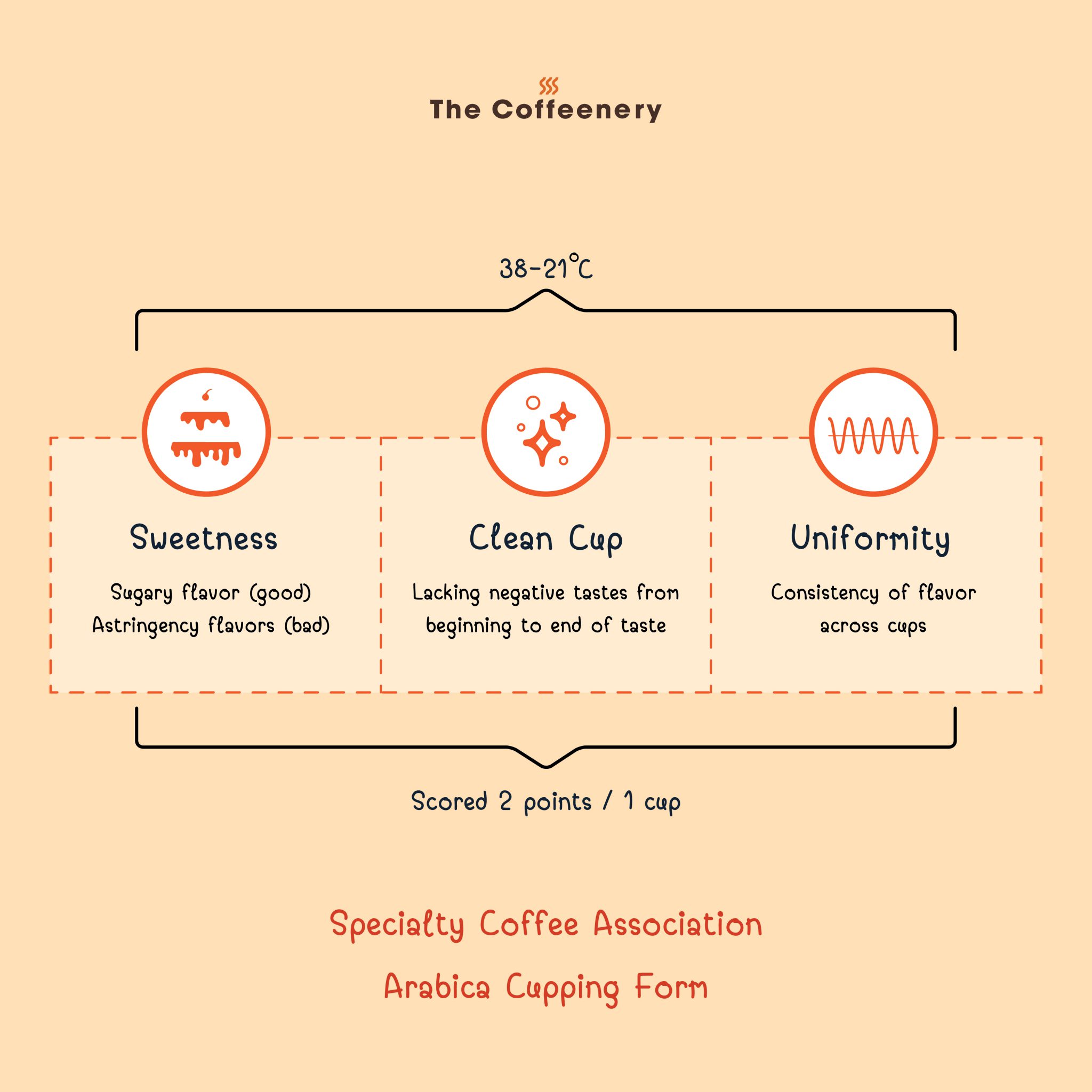 Cupping protocol sca - The Coffeenery coffee knowledge