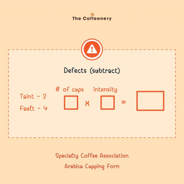 Cupping protocol sca - The Coffeenery coffee knowledge