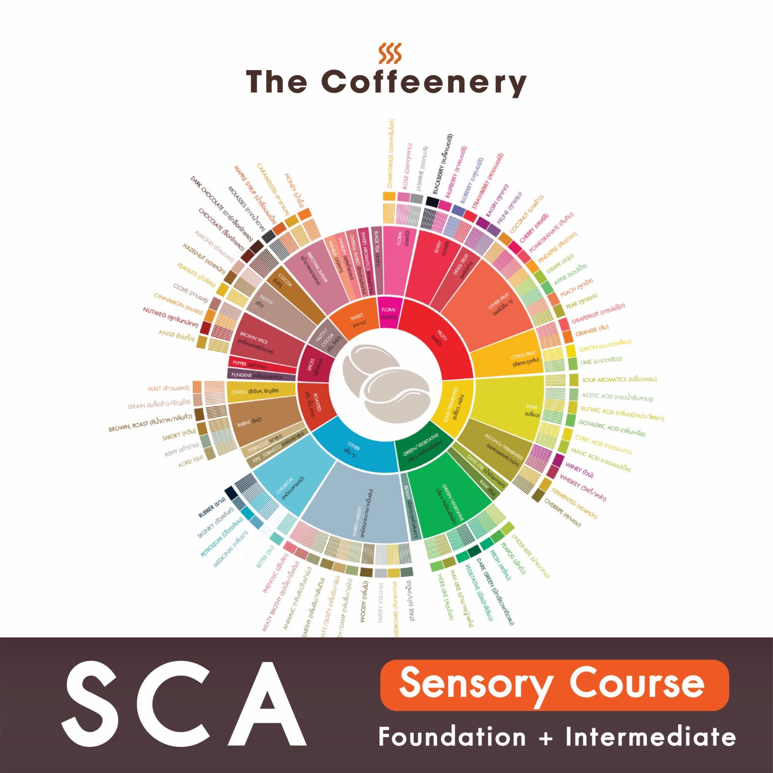 SCA Sensory (Foundation & Intermediate) - The Coffeenery